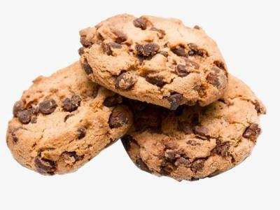 China High Energy Chocolate Cookies Protein Biscuit 240g MOQ5CTN for sale
