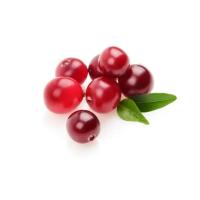 China Cranberry Extract Powder Anthocyanidins Extract Cyanidin Powder for sale