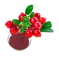 China Mygou Foods Cranberry Fruit Juice Extract Powder OEM Packing for sale