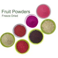 China Mygou Foods Cranberry Fruit Juice Extract Powder OEM Packing for sale