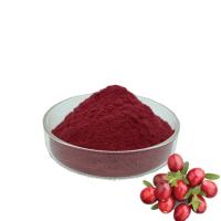 China HALAL Fruit Cranberry Juice Powder Good Fluidity Easy To Dissolve for sale