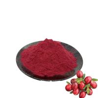 China HALAL Fruit Cranberry Juice Powder Good Fluidity Easy To Dissolve for sale