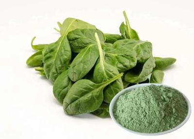 China Healthy Food Spinach Extract Powder Smooth Texture With Anti Aging for sale