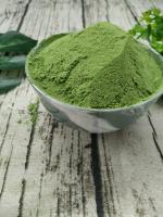 China Healthy Food Spinach Extract Powder Smooth Texture With Anti Aging for sale