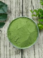 China Healthy Food Spinach Extract Powder Smooth Texture With Anti Aging for sale