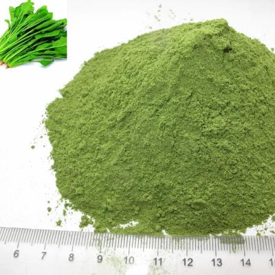China Packaged Healthy Food Spinach Leaves Flakes Powder Dehydrated for sale