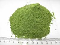 China Packaged Healthy Food Spinach Leaves Flakes Powder Dehydrated for sale