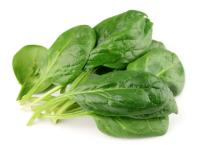 China Packaged Healthy Food Spinach Leaves Flakes Powder Dehydrated for sale