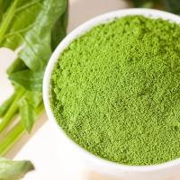 China Packaged Healthy Food Spinach Leaves Flakes Powder Dehydrated for sale