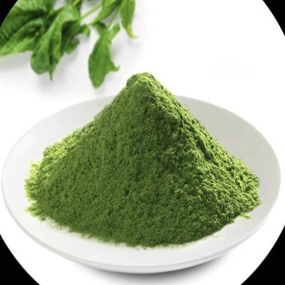 China Fresh Vegetable Spinach Powder Bulk Organic Red Spinach Extract for sale