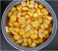 China Mygou Foods Canned Sweet Kernel Corn Plastic In Brine Fresh Full Grain for sale