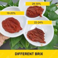 China 210g 400g Home Canned Tomato Paste In Different Sizes 100% Purity In 28 - 30% Brix for sale