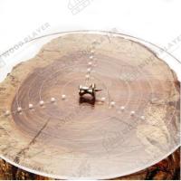 China Woodworking Machine Parts  WPLA-198  Round ruler scribe with diameter 198mm for sale