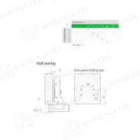 China Clip-on Hydraulic Hinge Soft Close Hidden Door Gate Brass Aluminium Steel 35mm Cup 100° Opening for sale