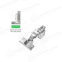China Clip-on Hydraulic Hinge Soft Close Hidden Door Gate Brass Aluminium Steel 35mm Cup 100° Opening for sale