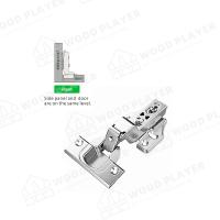 China Clip-on Hydraulic Hinge Soft Close Hidden Door Gate Brass Aluminium Steel 35mm Cup 100° Opening for sale