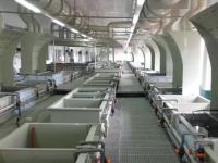 China Special Equipment Hard Anodizing Equipment For Aerospace Components And Automotive Parts for sale