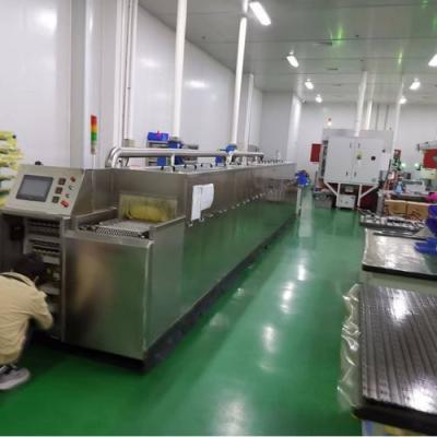 China Tunnel Type Cleaning Equipment Includ Spray Ultrasonic Pure Water Rinse Wind Cut Dry for sale