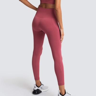 China Seamless solid color breathable quick-dry fitness pants woman high waist peach hip lift tight elastic hip lift yoga pa for sale
