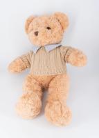 China All Ages Soft Plush Toys Teddy Bear Personalized Text Image And Outfits For Unique Gifts for sale