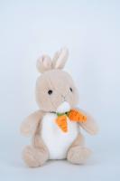 China OEM ODM Teddy Bunny Plush Toy Souvenir Or Mascot Soft Stuffed Animal for sale