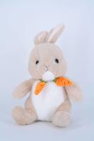 China OEM Custom Design Made Mascot Dolls Carrot Rabbit Holding Cute Plush Toy for sale