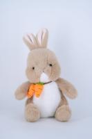 China OEM Gift Soft Plush Toy Mascot Soft Bunny Rabbit Stuffed Animal Custom Images for sale
