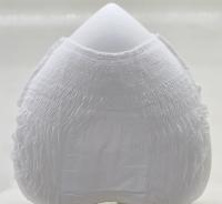 China Soft Disposable Overnight Period Underwear Leak Proof  Disposable Pad  26cm for sale