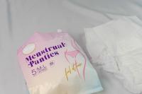 China Odor Resistant Overnight Panties Non Woven Nighttime Period Panties Comfortable for sale