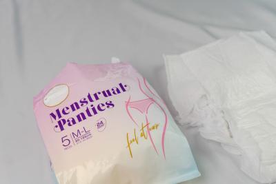 China Odor Resistant Overnight Panties Non Woven Nighttime Period Panties Comfortable for sale