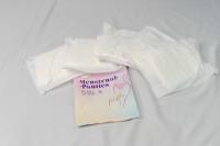 China White Period Panties Overnight  OEM ODM Tranquility Premium Overnight Absorbent Underwear for sale
