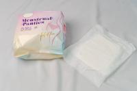 China M L Overnight Period Panties Comfortable Maternity Nighttime Period Underwear for sale