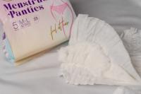 China 3 Years 360 Period Panties Full Coverage Period Underwear Overnight For Menstruating for sale