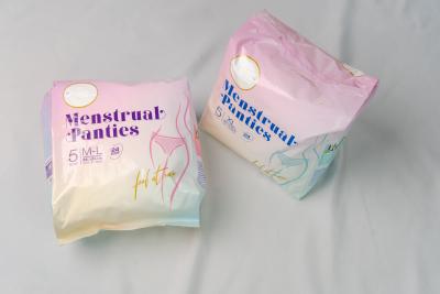 China Odor resistant Fabric Full Coverage With High rise Fit Overnight Period Panties Breathable Leak Proof Menstrual Underwear for Night for sale