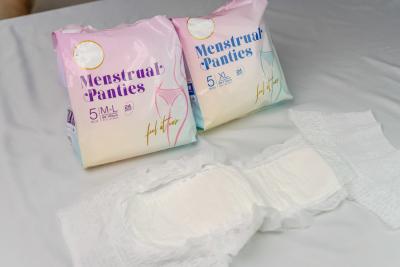 China Absorbent Overnight Period Panties White Breathable Unisex Overnight Underwear for sale