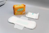 China High Absorbency Menstrual Pads Natural Plant Essences Comfortable Breathable Soft Material Ideal for Sensitive Skin Leak Protection for sale