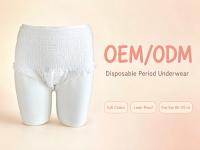 China OEM Period Panties leak resistant underwear designed for overnight offering maximum comfort and heavy flow protection for sale
