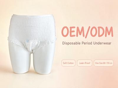 China OEM Period Panties leak resistant underwear designed for overnight offering maximum comfort and heavy flow protection for sale