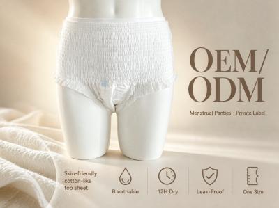 China 3D Waistband Premium Disposable Period Panties soft moisture wicking underwear offering secure leak protection during overnight wear for sale