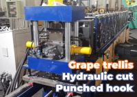 China Metal Grape Arbor Profiles Roll Forming Equipment With Precision Punching And Automatic Hydraulic Cutting for sale