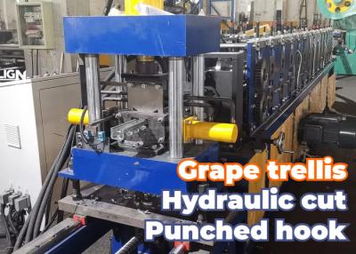 China Metal Grape Arbor Profiles Roll Forming Equipment With Precision Punching And Automatic Hydraulic Cutting for sale