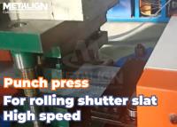 China Servo Feeding Punching Shutter Door Roll Forming Machine For Perforated Shutter Profiles for sale