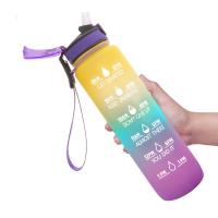 China Leakproof 1 Gallon Motivational Water Bottle With Straw Reusable Plastic for sale