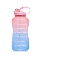 China Water bottle with time marker motivational water bottle with straw for sale