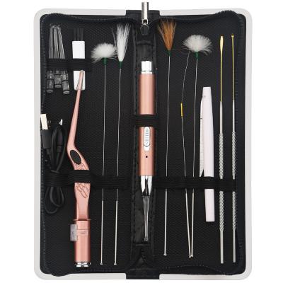 China 13-Piece Metal Steel Wood Ear Cleaner Kit Portable Earwax Removal Tools for Home Office Travel for sale