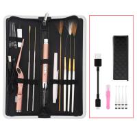 China 13-Piece Metal Steel Wood Ear Cleaner Kit Portable Earwax Removal Tools for Home Office Travel for sale