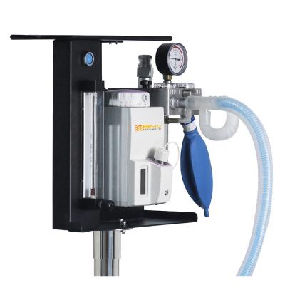 China BAM-7 Veterinary Anesthesia Machine 1500mL Tidal Volume CE Certified for Clinics for sale