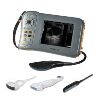 China BMV Farmscan L60 Handheld Portable Ultrasound Scanner 2.5-5.0MHz Veterinary CE for sale