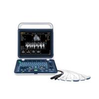 China BPU60 Portable Veterinary Color Doppler Ultrasound 15in Monitor 7.5kg Equine Bovine Canine for sale