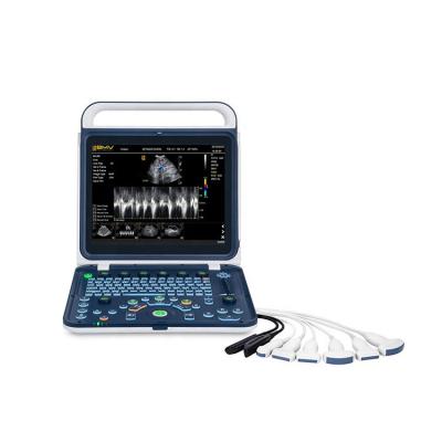 China BPU60 Portable Veterinary Color Doppler Ultrasound 15in Monitor 7.5kg Equine Bovine Canine for sale